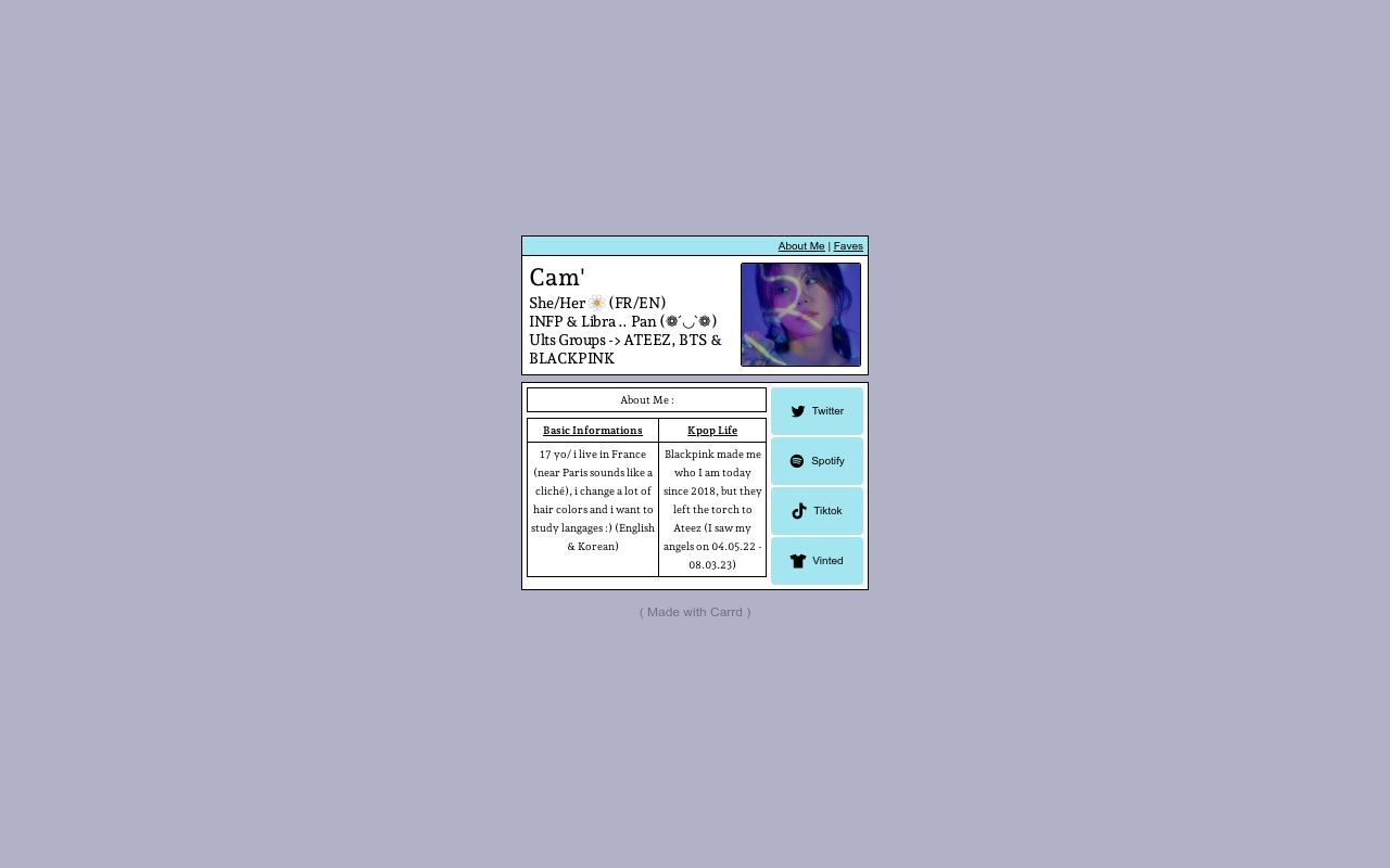 Cam' Profile